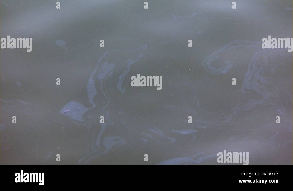 Surface oil slick Stock Videos & Footage - HD and 4K Video Clips - Alamy