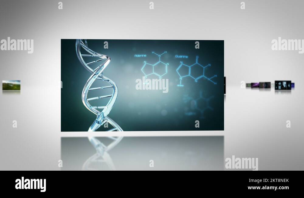 Video wall with multiple medical clips. White background. Loopable ...