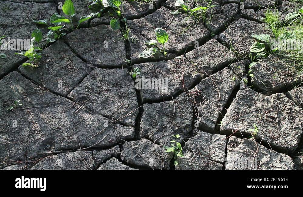 Ground cracked Stock Videos & Footage - HD and 4K Video Clips - Alamy