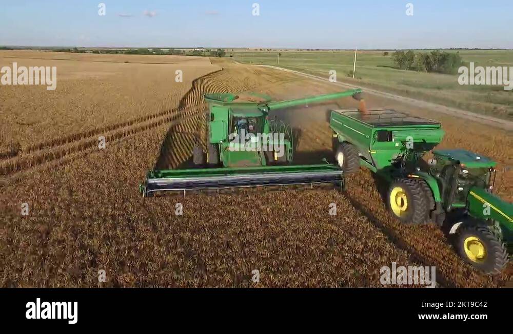 Combine unloading wheat grain cart Stock Videos & Footage - HD and 4K ...