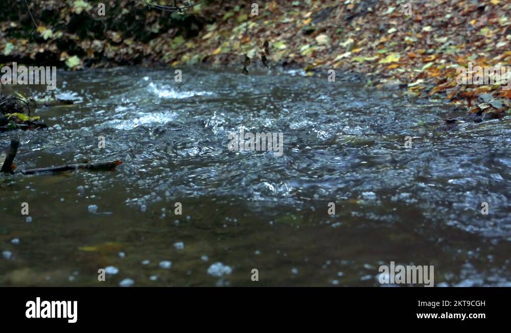 River bank overflow Stock Videos & Footage - HD and 4K Video Clips - Alamy