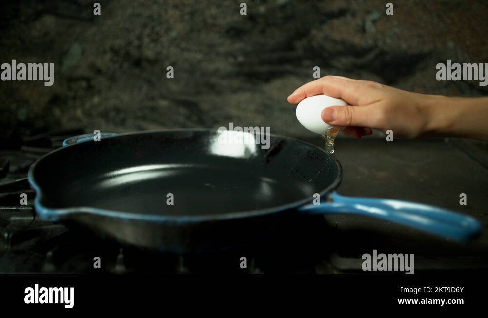 Egg profile Stock Videos & Footage - HD and 4K Video Clips - Alamy