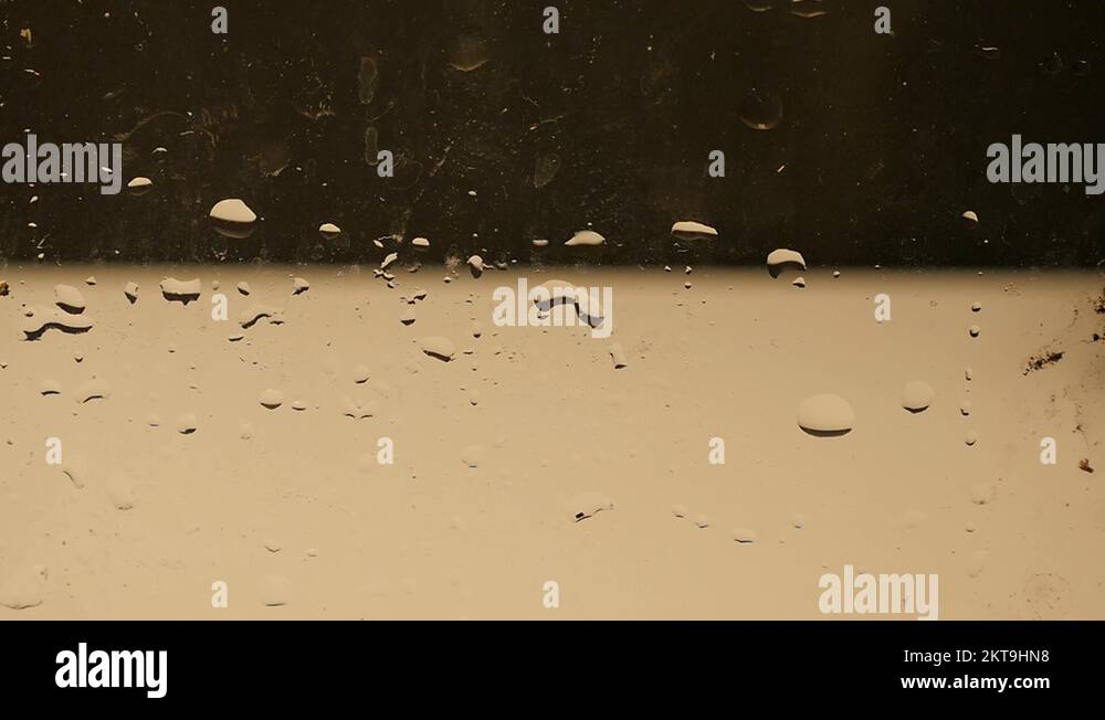 Camera glass Stock Videos & Footage - HD and 4K Video Clips - Alamy