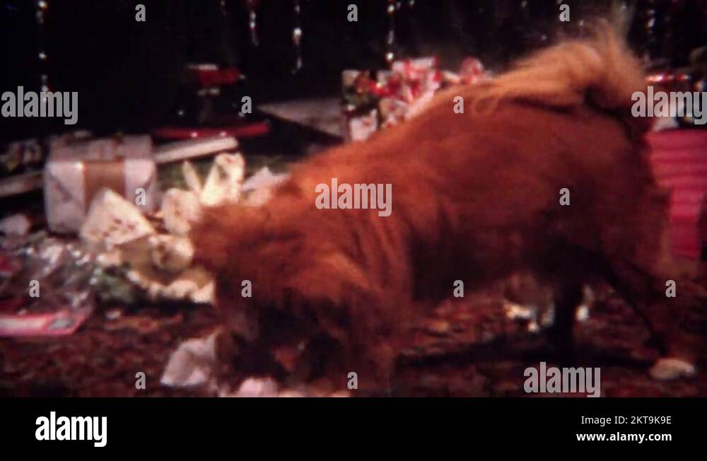 1956 newspaper Stock Videos & Footage - HD and 4K Video Clips - Alamy