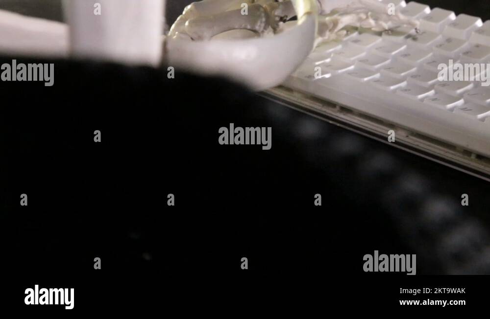 Corpse Died in the Office - Skeleton trapped in a cubicle Stock Video ...