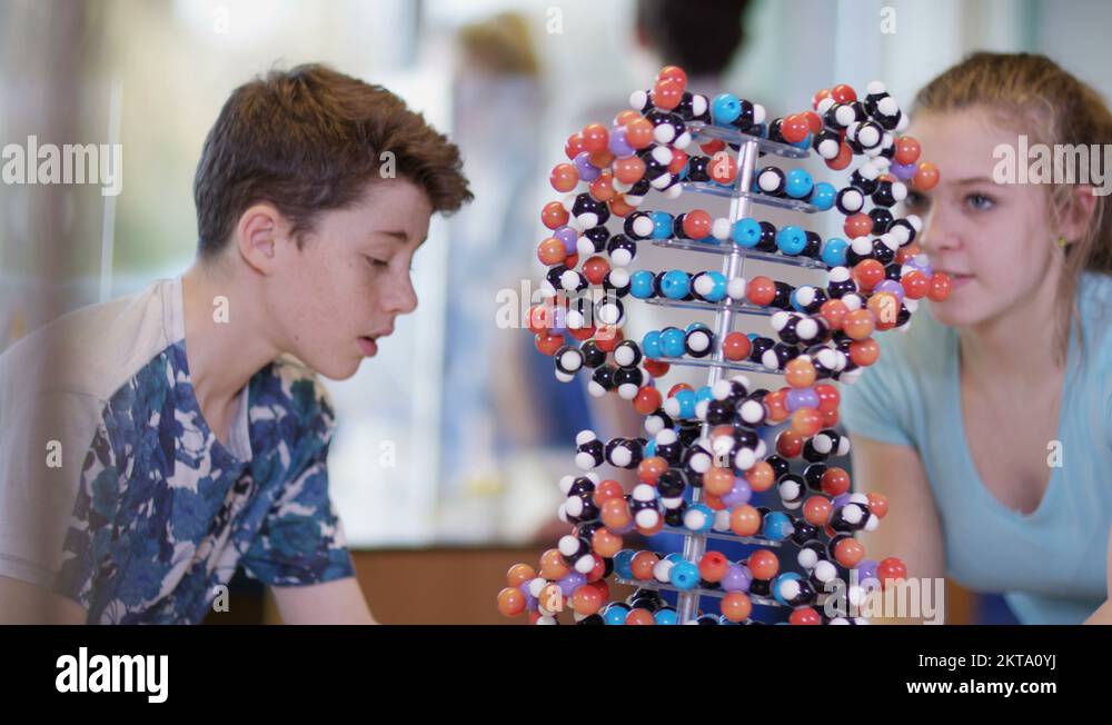 Life model class Stock Videos & Footage - HD and 4K Video Clips - Alamy