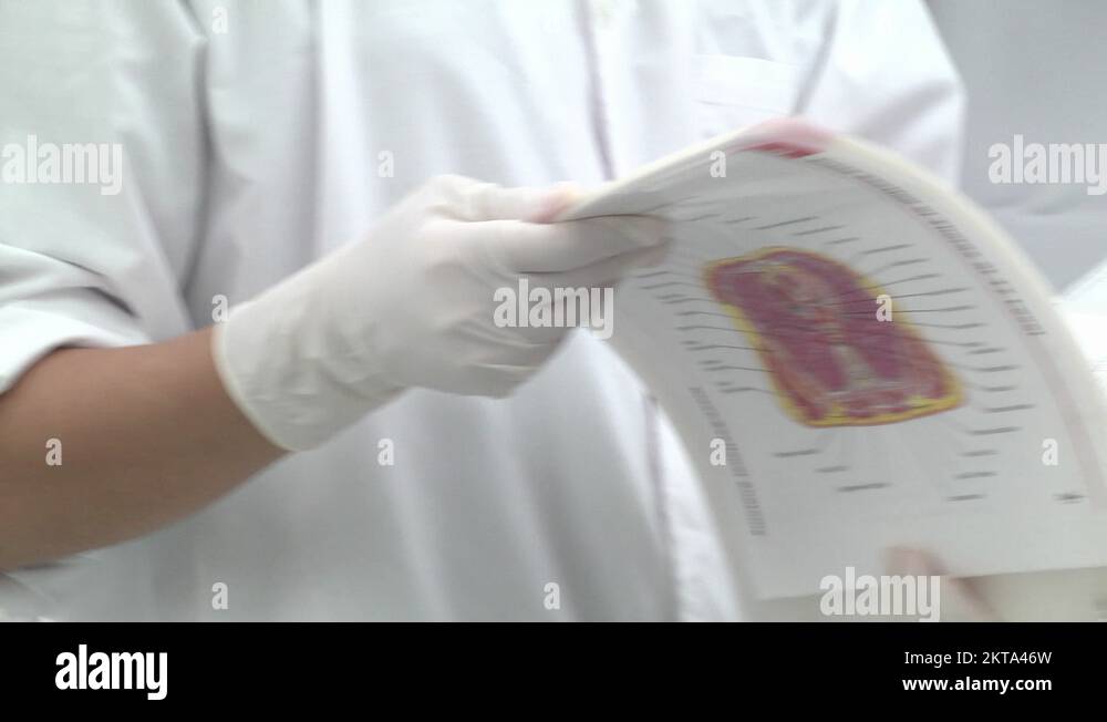 Anatomy of a crime Stock Videos & Footage - HD and 4K Video Clips - Alamy
