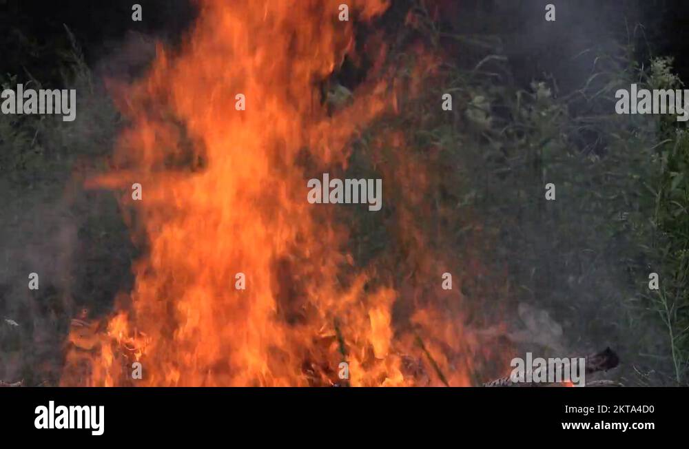 focus change of orange bonfire flame in forest background. 4K Stock ...