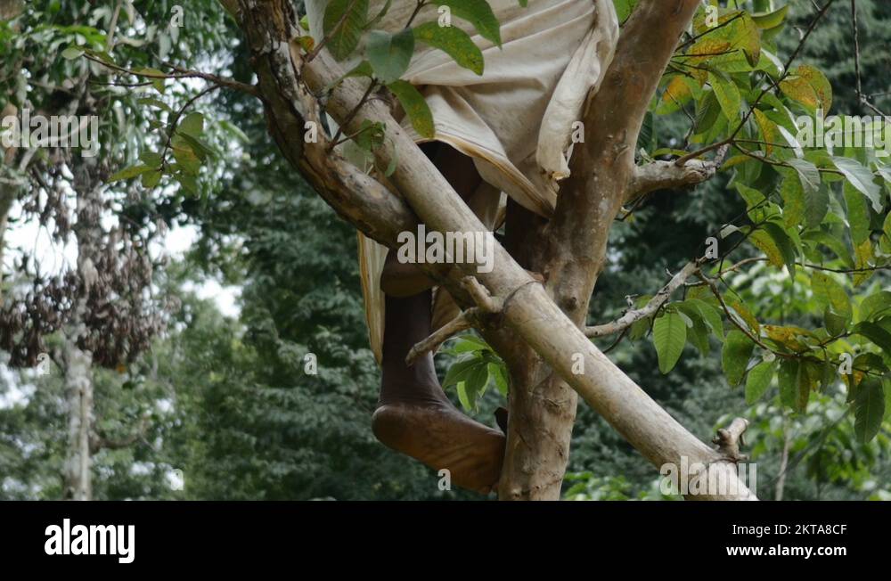 Poor barefoot Stock Videos & Footage - HD and 4K Video Clips - Alamy