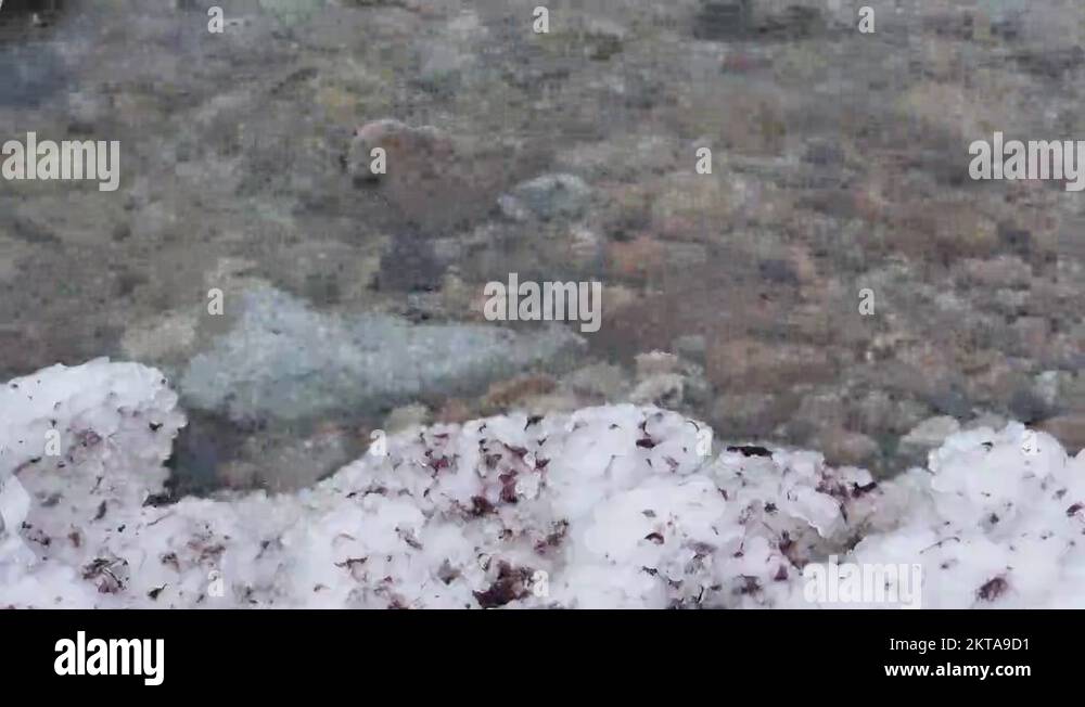 Winter snow and sea scenery Stock Videos & Footage - HD and 4K Video ...