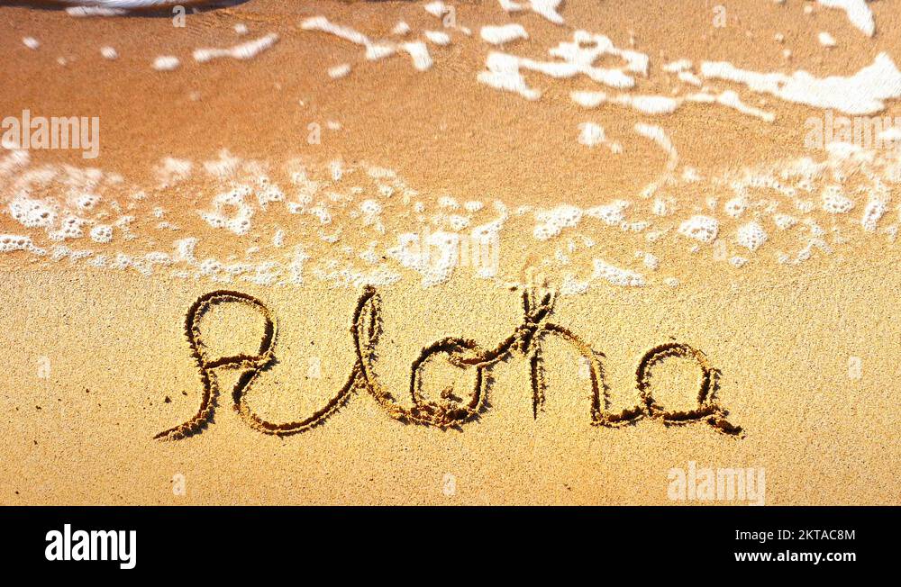 Words written in sand Stock Videos & Footage - HD and 4K Video Clips ...