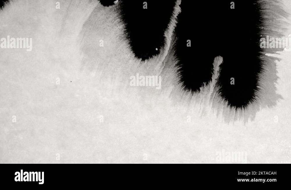 Ink parchment Stock Videos & Footage - HD and 4K Video Clips - Alamy