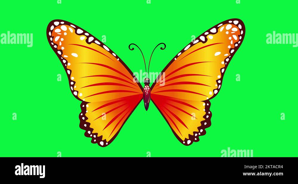 Blue Butterfly Animation Green Screen Spring Butterflys Wing Flight Wings Flyi Stock Video