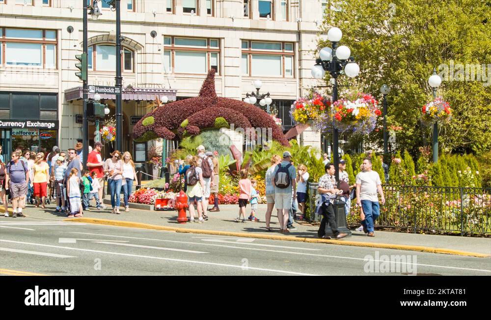 Victoria bc city Stock Videos & Footage - HD and 4K Video Clips - Alamy