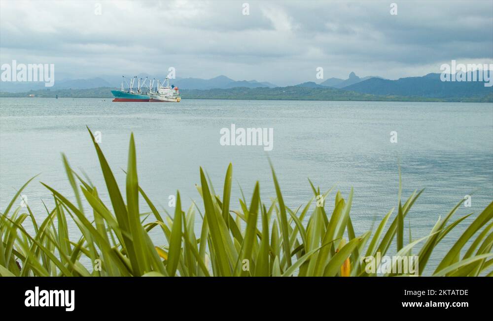 Pacific harbour fiji Stock Videos & Footage - HD and 4K Video Clips - Alamy