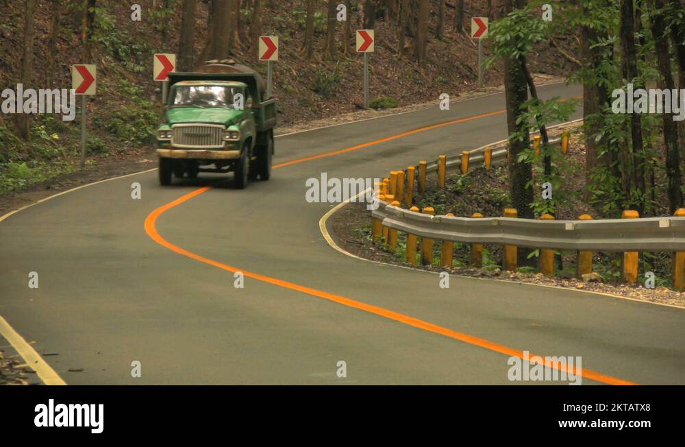 Mahogany forest Stock Videos & Footage - HD and 4K Video Clips - Alamy