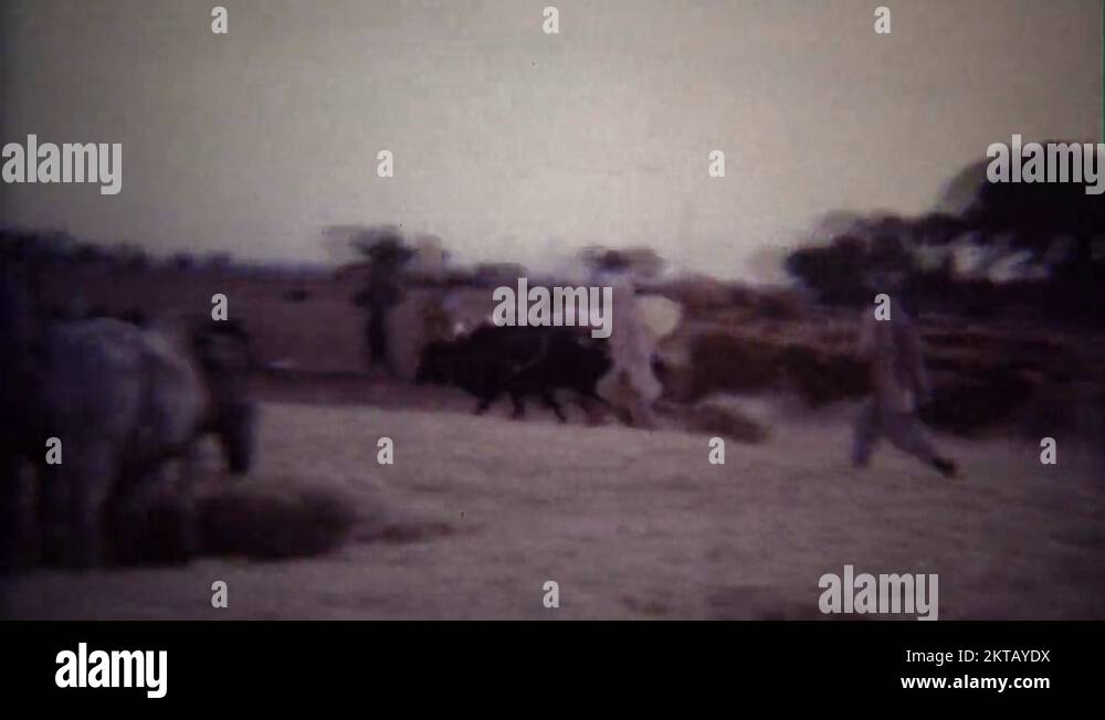 Dry rural Stock Videos & Footage - HD and 4K Video Clips - Alamy