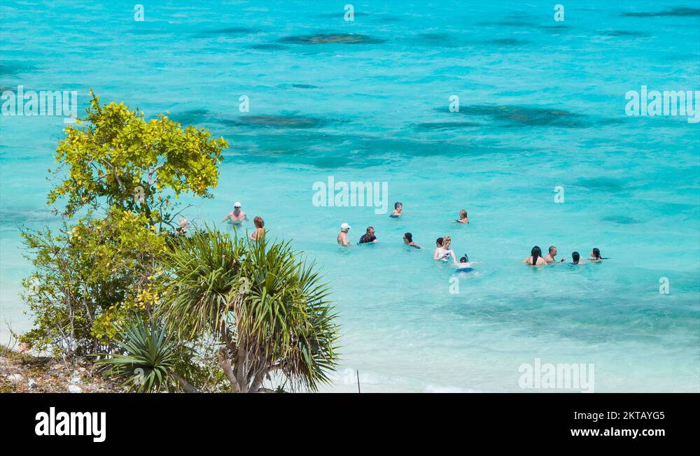 People Swimming in Transparent Blue Water of Lifou Island Stock Video ...
