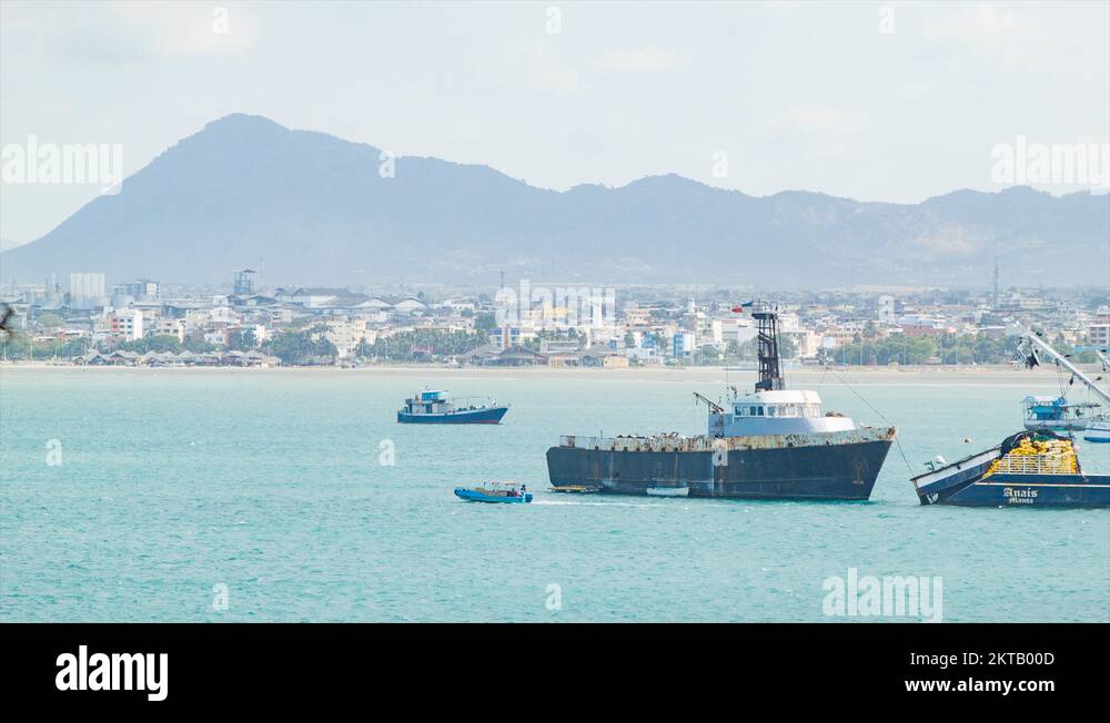 Pacific manta Stock Videos & Footage - HD and 4K Video Clips - Alamy