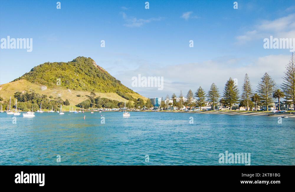 Tauranga and tauranga harbour Stock Videos & Footage - HD and 4K Video ...