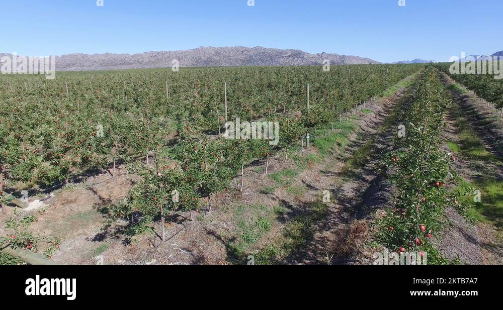 Abundance outdoors farming Stock Videos & Footage - HD and 4K Video ...