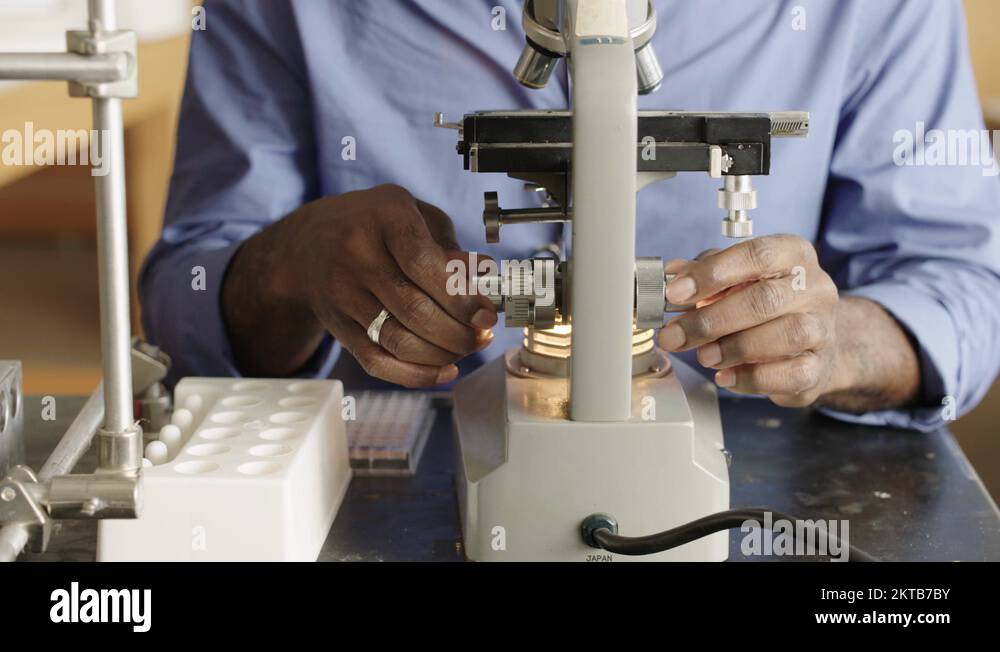 Hands on microscope Stock Videos & Footage - HD and 4K Video Clips - Alamy