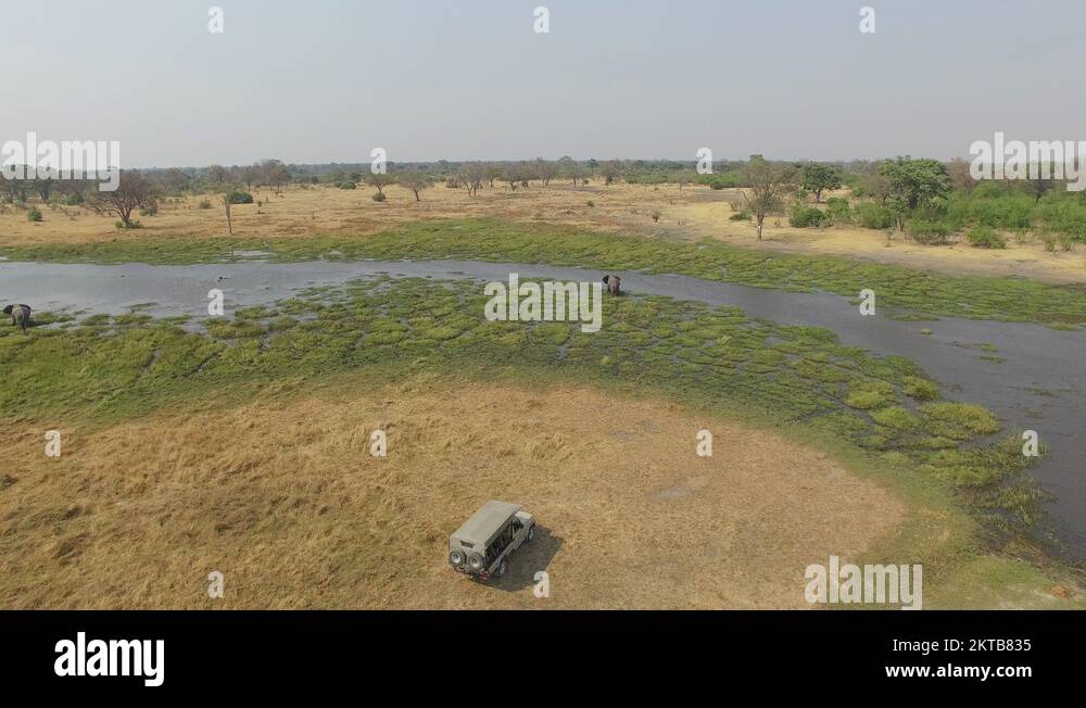 Tourist safari vehicle driving alongside water ways of the Okavango ...