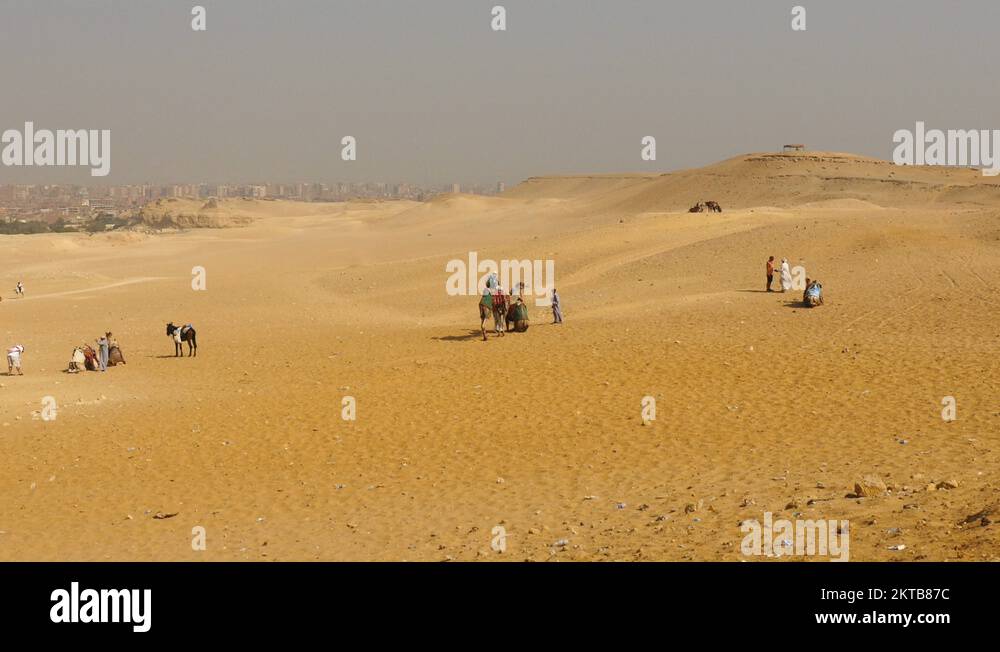 Zoom Out - Tourists in the Desert with Camels & Guides Stock Video ...