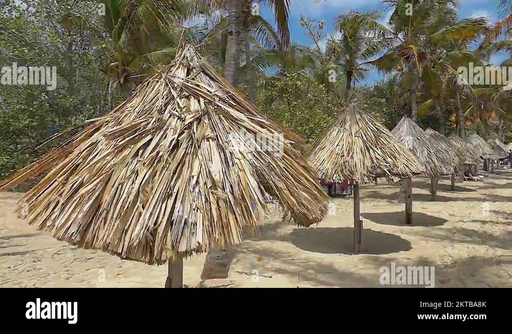 Caribbean resort huts Stock Videos & Footage - HD and 4K Video Clips ...