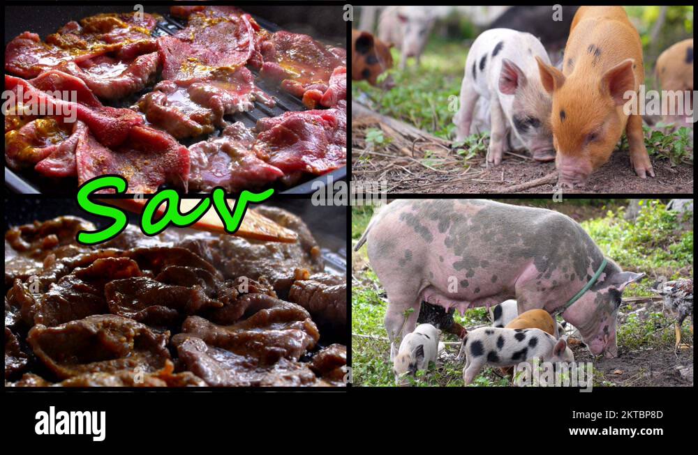 Meat industries Stock Videos & Footage - HD and 4K Video Clips - Alamy
