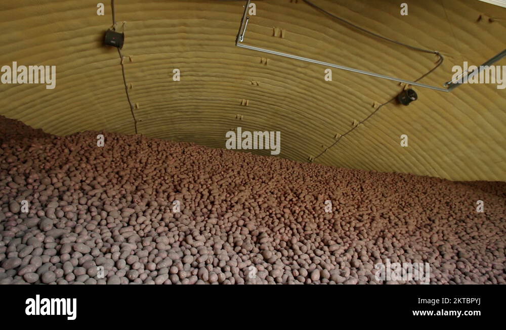 Vegetable storage warehouse Stock Videos & Footage - HD and 4K Video ...
