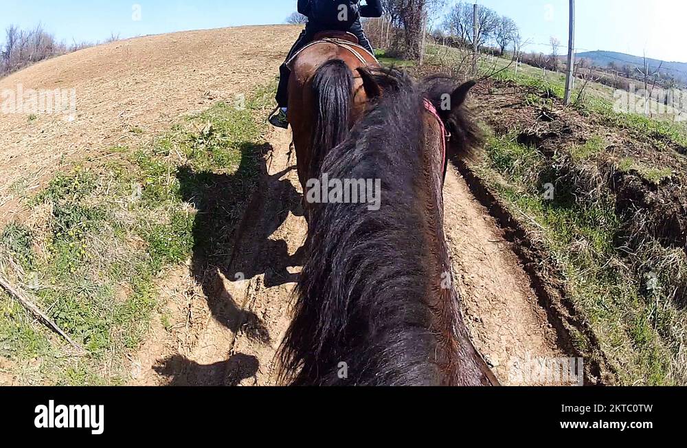 Back view horse riding Stock Videos & Footage - HD and 4K Video Clips ...