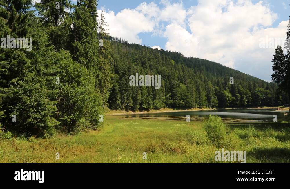 Carpatho ukraine Stock Videos & Footage - HD and 4K Video Clips - Alamy