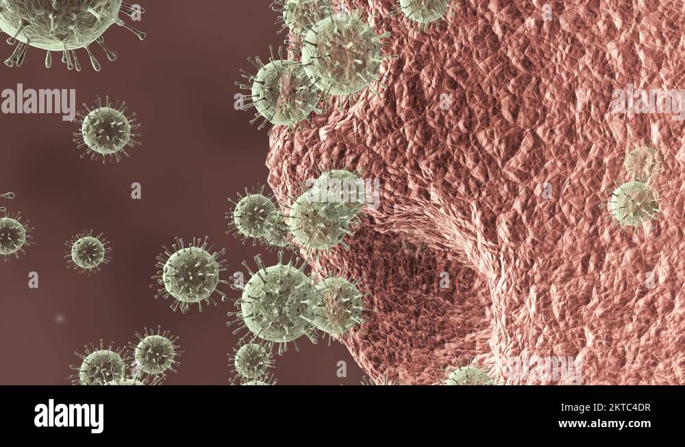 Phage virus Stock Videos & Footage - HD and 4K Video Clips - Alamy