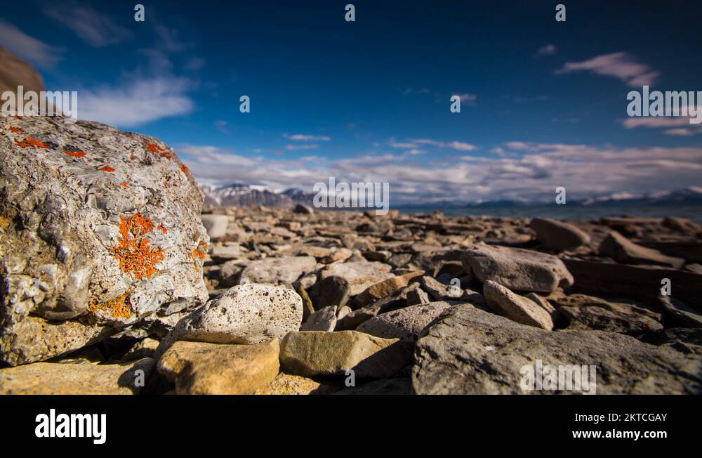 Lichen covered rocks Stock Videos & Footage - HD and 4K Video Clips - Alamy