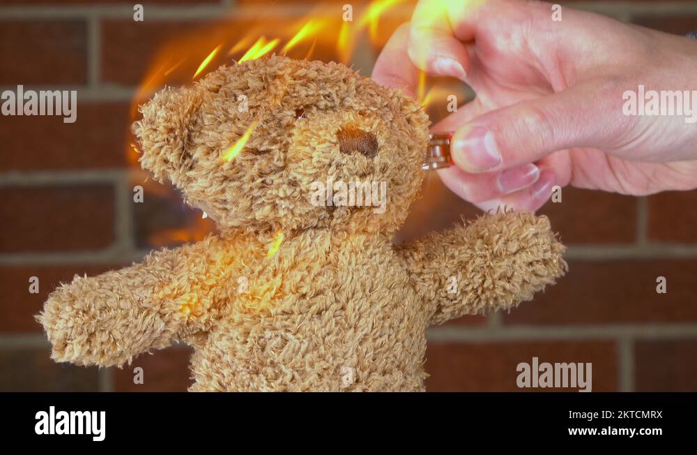 Teddy bear on her head Stock Videos & Footage - HD and 4K Video Clips ...