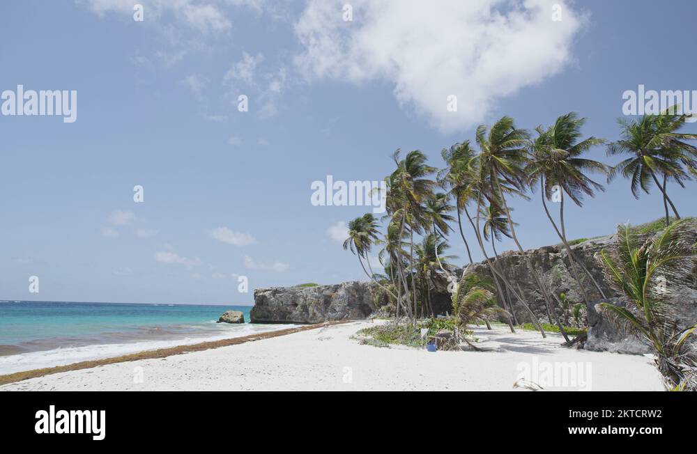 Bottom bay Stock Videos & Footage - HD and 4K Video Clips - Alamy