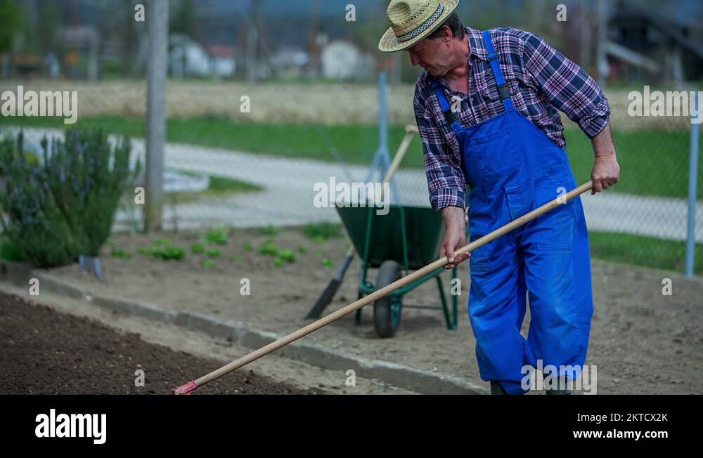 Farmer with a strw hat is raking the soil in the garden Stock Video ...