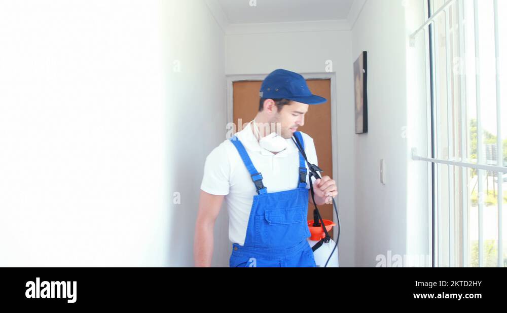 Man about house Stock Videos & Footage - HD and 4K Video Clips - Alamy