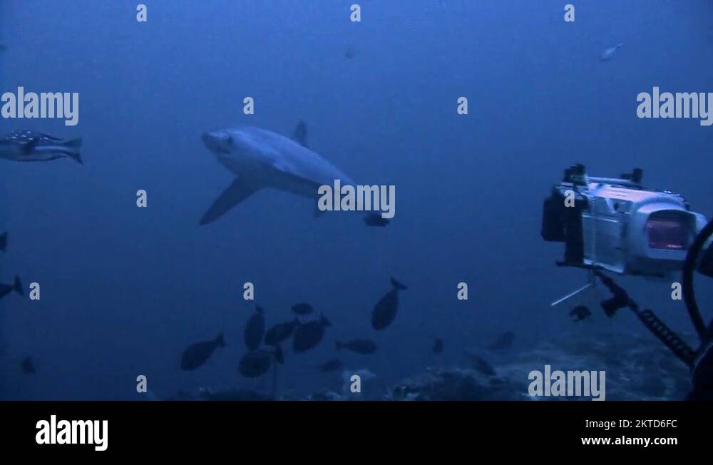 40 meters Stock Videos & Footage - HD and 4K Video Clips - Alamy