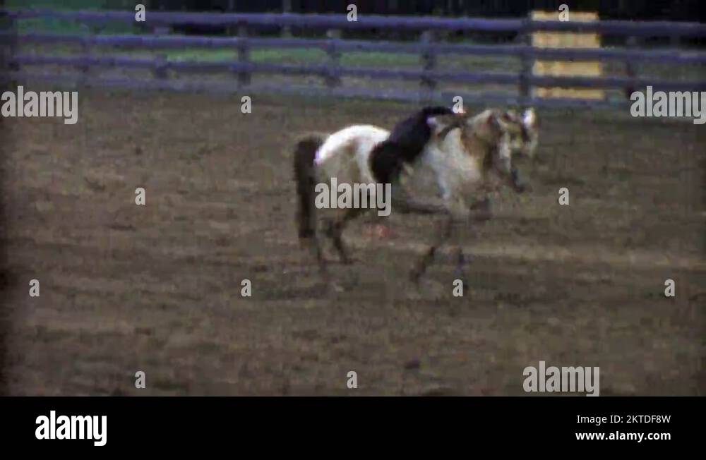 Dead cowboy Stock Videos & Footage - HD and 4K Video Clips - Alamy
