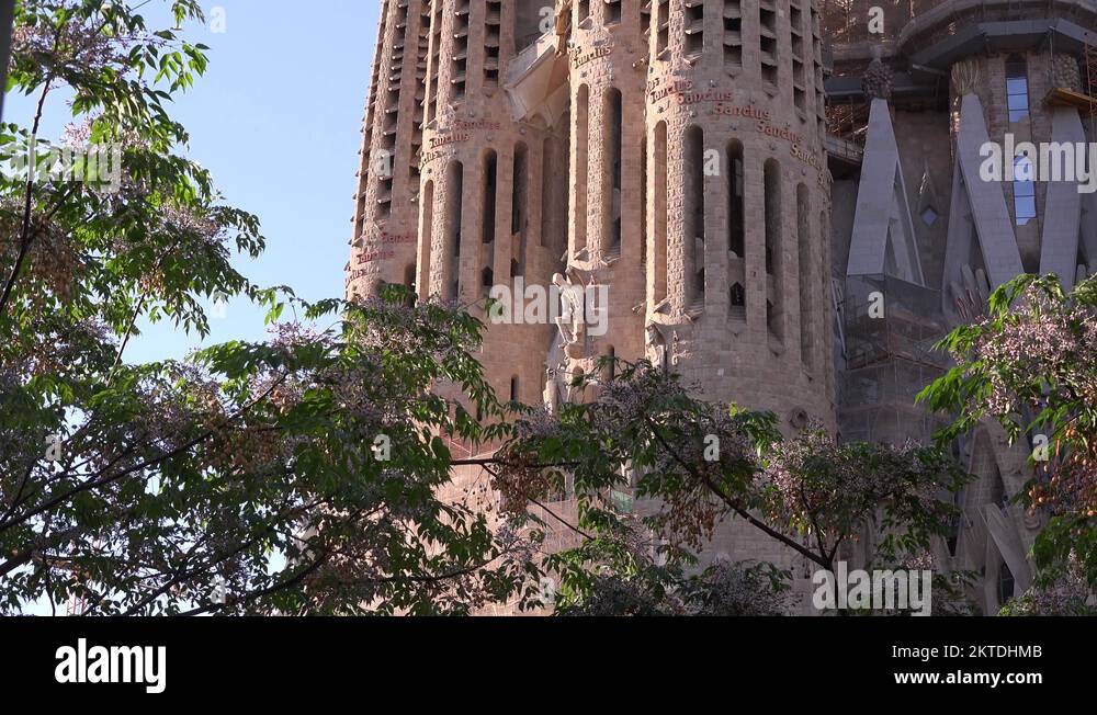 Gaudi sagrada familia tree Stock Videos & Footage - HD and 4K Video ...