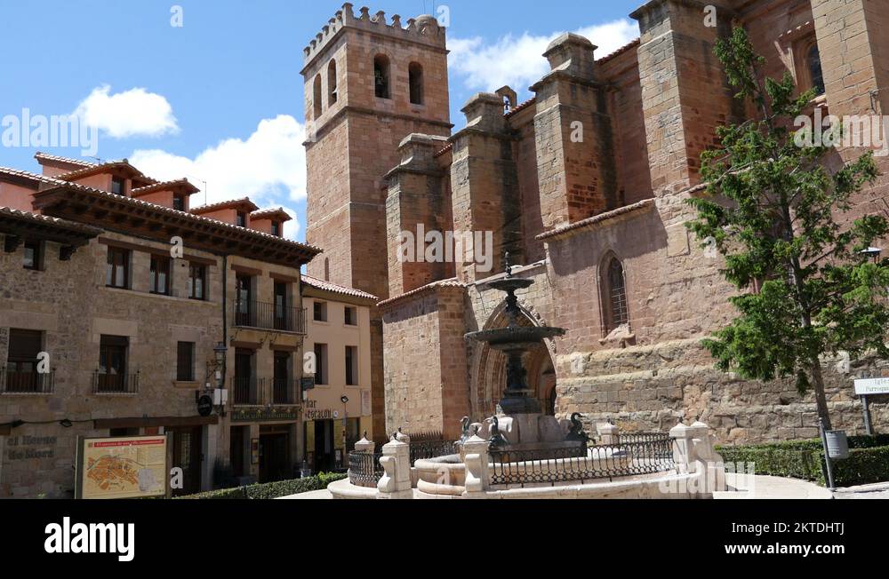 Mora tree Stock Videos & Footage - HD and 4K Video Clips - Alamy