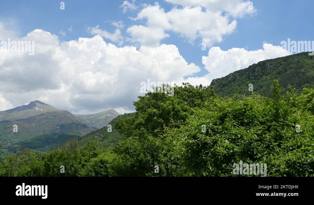 Pyrenees trees Stock Videos & Footage - HD and 4K Video Clips - Alamy