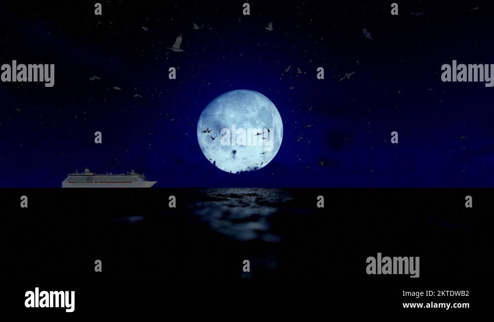 Cruise ship sailing against full moon, seagulls flying, sound included ...