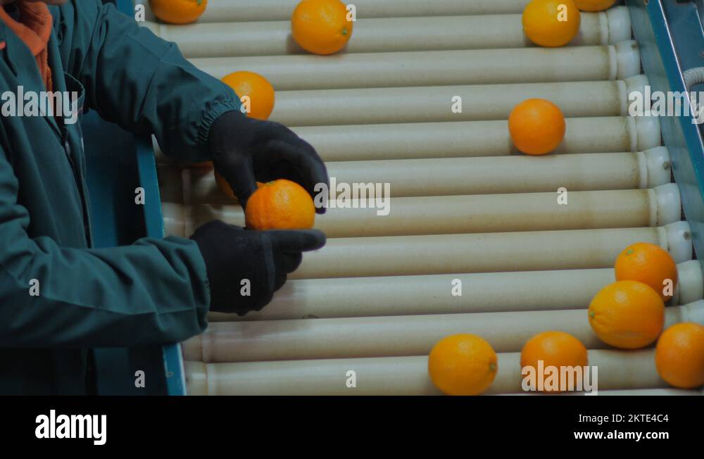 Orange processing Stock Videos & Footage - HD and 4K Video Clips - Alamy