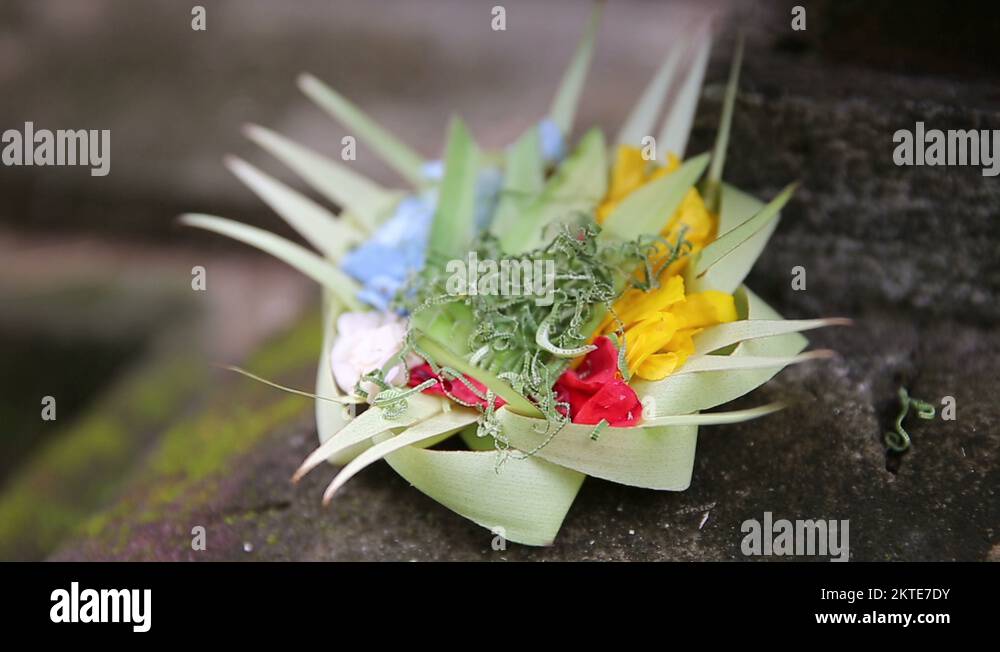Balinese offerings flowers Stock Videos & Footage - HD and 4K Video ...