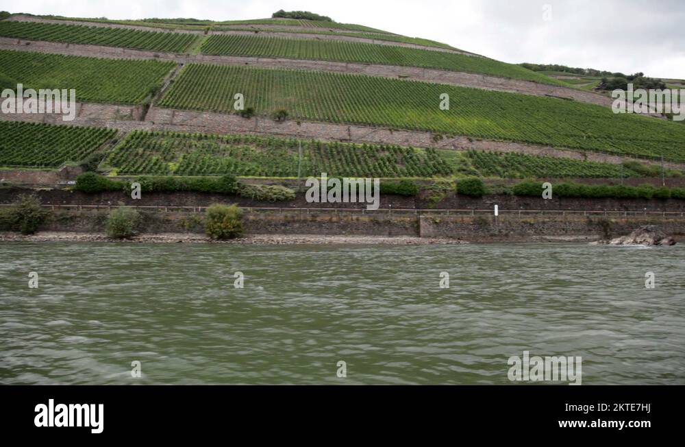 River plantations Stock Videos & Footage - HD and 4K Video Clips - Alamy