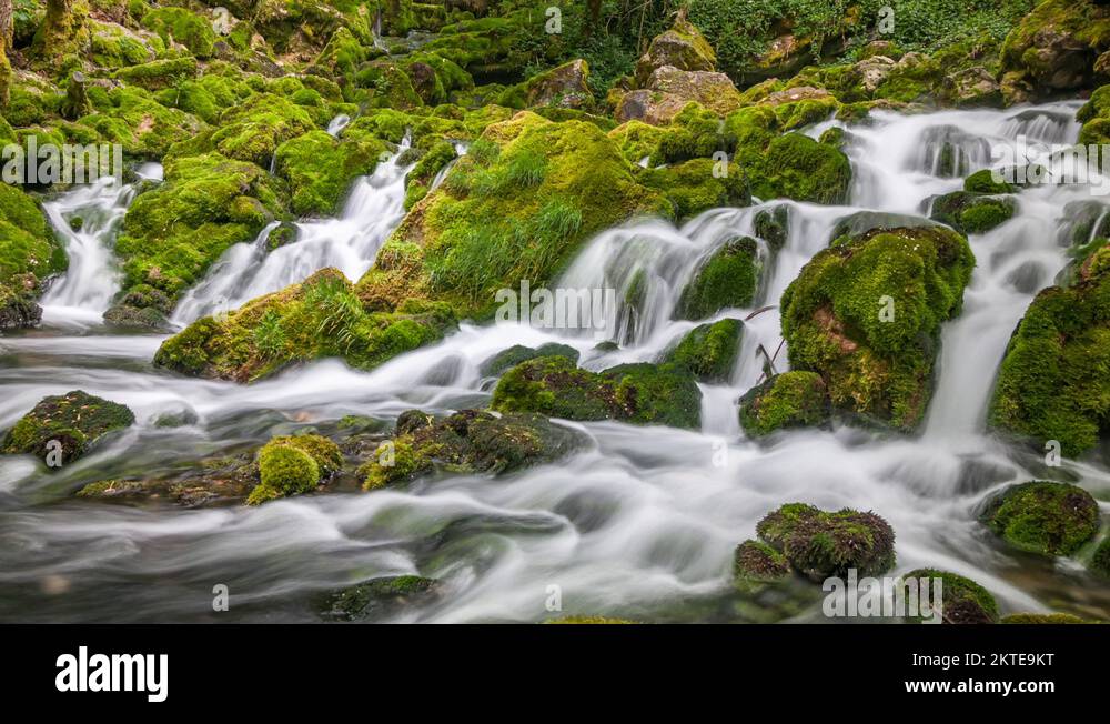 Zoom out over forest Stock Videos & Footage - HD and 4K Video Clips - Alamy