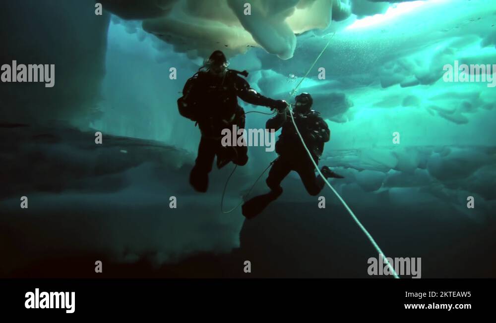 Divers emerge from the depths of the Arctic Ocean at the North Pole ...